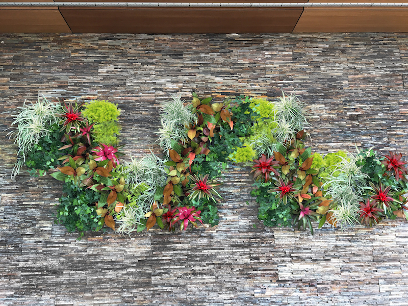 Outdoor Living Walls | Baton Rouge | Billy Heroman's